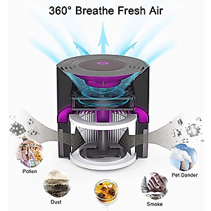 MEGAWISE H13 True HEPA Air Purifier Cleaner for Home Bedroom Small Room Office, help to purify for Smoke, Dust, Pet Dander, Ozone Free, Fully Certified