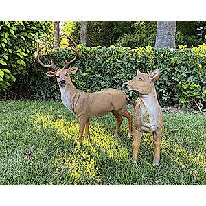 JHVYF Resin Deer Statue Home Office Decor Animal Figurine Decorations Lawn Decor Garden Sculpture -20" H Standing Deer + 14" Standing Doe
