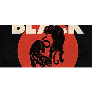 Black Pumas Tour Poster, Black Pumas Print, Soul Rock Music Poster, Rock Art (12x18 inches)