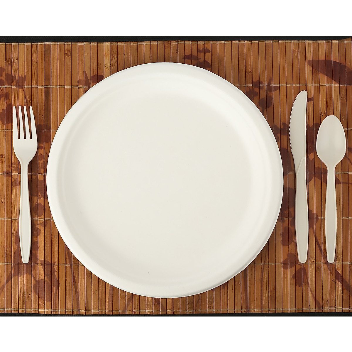 brheez 10 in. Disposable Plates Paper Plates Alternative Compostable Plates Heavy Duty [Pack of 60] Eco-Friendly 100% Natural Sugarcane Bagasse Fiber Biodegradable