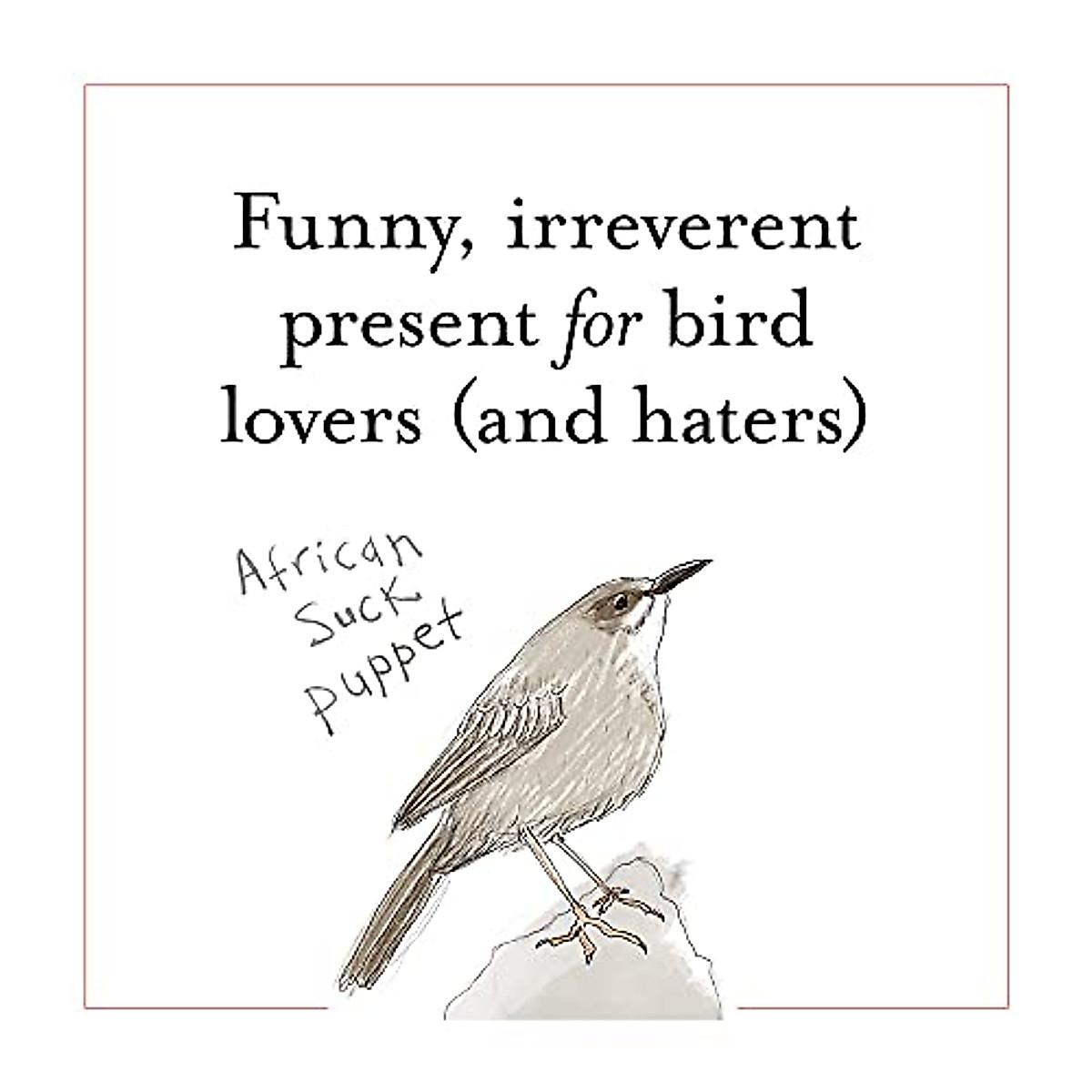 The Field Guide to Dumb Birds of the Whole Stupid World