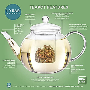 Teabloom Stovetop & Microwave Safe Teapot (40 OZ) with Removable Loose Tea Glass Infuser – Includes 2 Blooming Teas – 2-in-1 Tea Kettle and Tea Maker