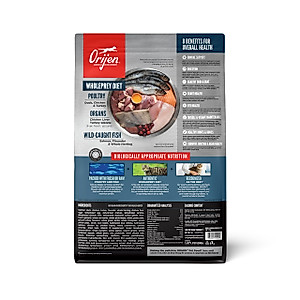 ORIJEN GUARDIAN SENIOR Dry Cat Food, Grain Free Cat Food for Senior Cats, WholePrey Ingredients, 4lb