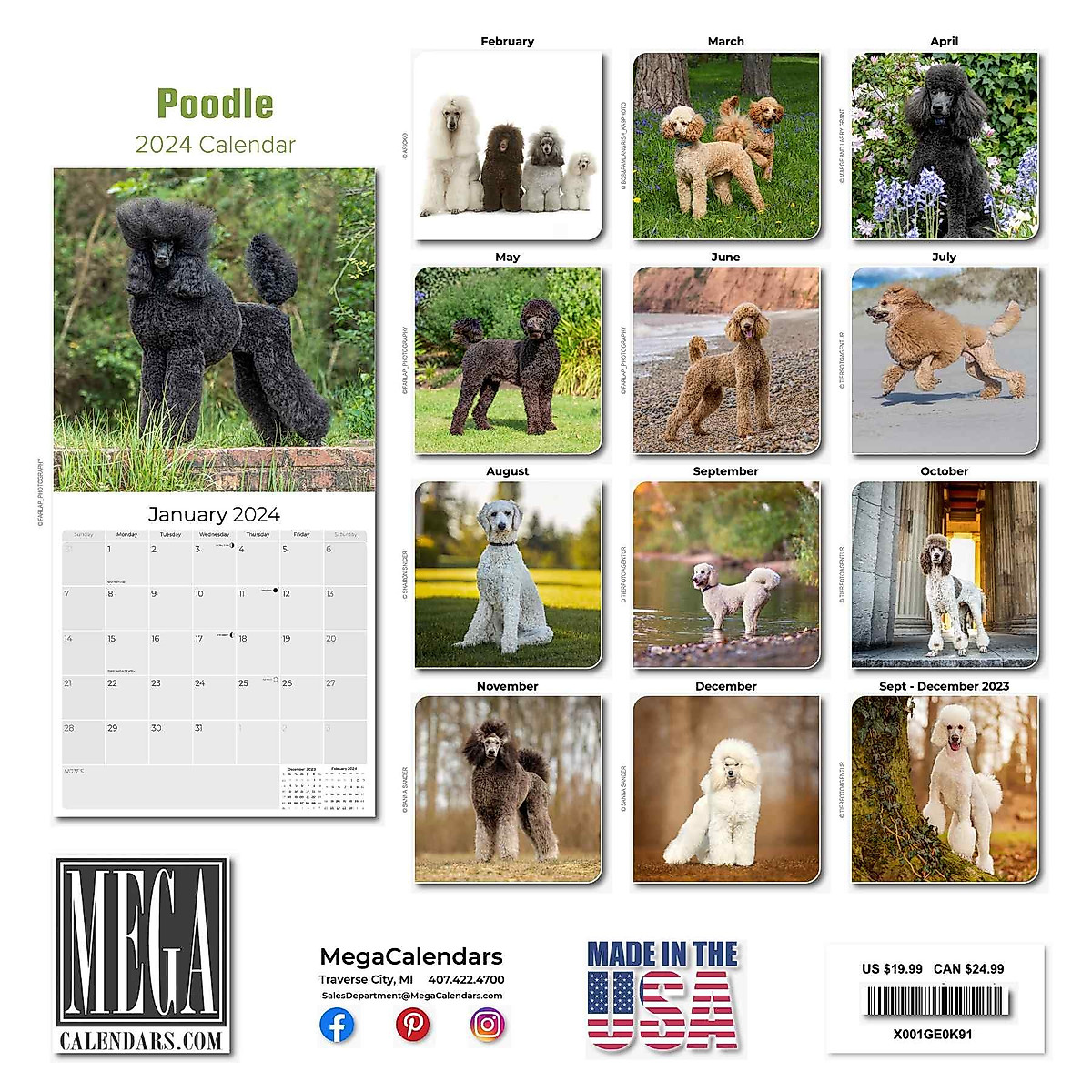 2023 2024 Poodle Calendar - Dog Breed Monthly Wall Calendar - 12 x 24 Open - Thick No-Bleed Paper - Giftable - Academic Teacher's Planner Calendar Organizing & Planning - Made in USA