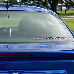 Desert Cactus East Carolina University Pirates ECU Name Logo Vinyl Decal Laptop Water Bottle Car Scrapbook (15 Inch Sticker)