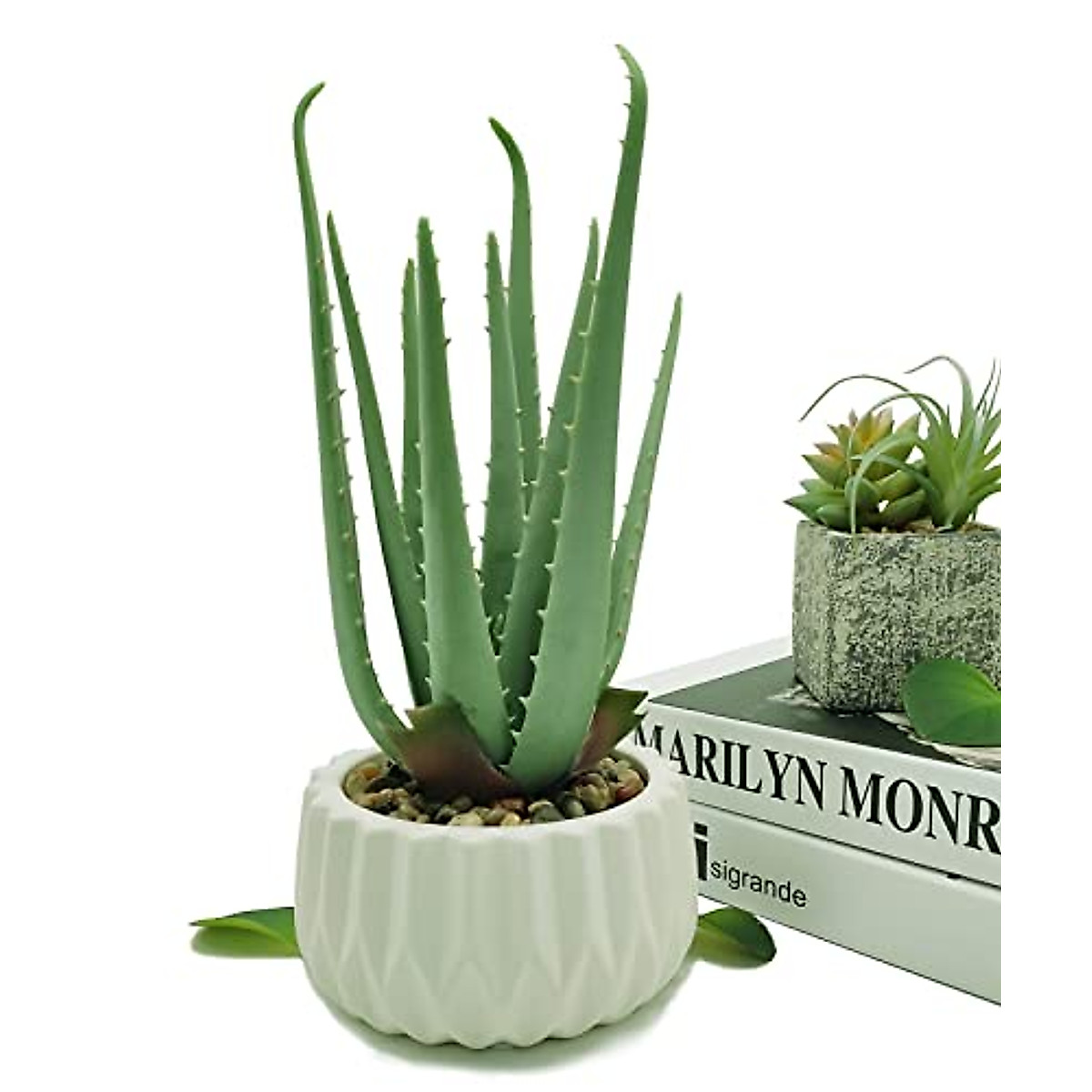 Suntimber Artificial Fake Plant Decor,Aloe Faux Plants in Elegant Ceramic Pot for Bathroom Shelf Decor, Desk Plant for Home & Office Decor - Artificial Fake Succulent Potted