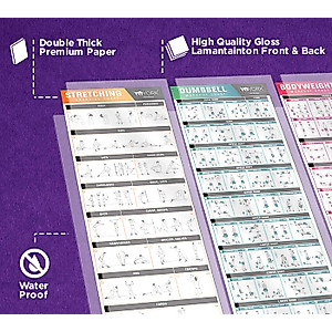 YoYork Exercise Posters for Stretching, Dumbell & Bodyweight Training - Home Gym & Fitness Workout w Minimal Equipment Needed - Get Full Body Workout at Home - 3 Laminated Posters Plus Workout Cards