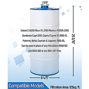 Futuer Way 1 Pack Garden Hose End Pre Filter + 1 Set Hot Tub Filter (Compatible with Sundance Spas 6450-488, Unicel C-8326, Pleatco PSD125-2000)