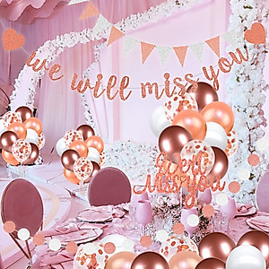 We Will Miss You Banner Coworker Going Away Farewell Decorations Rose Gold Glitter Dot Circle Garland Triangle Flag Banner For Goodbye, Retirement, Job Change, Later Traitor Party Supplies (Rose Gold)