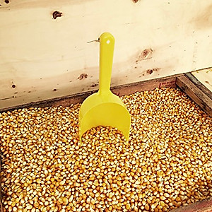 Paragon Bulk Bag Yellow PopCorn (12.5-Pounds)