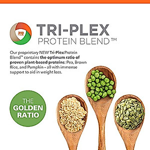 310 Nutrition - Vegan Organic Plant Powder and Meal Replacement Shake - Gluten, Dairy, and Soy Free - Keto and Paleo Friendly - 0 Grams of Sugar - Chocolate - 14 Servings