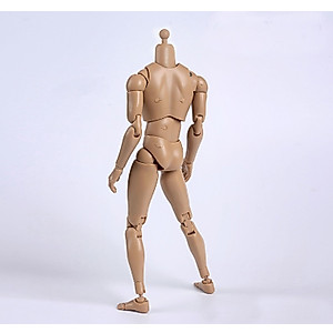 1/6 Scale Narrow Shoulder Male Body Doll Action Figure for TTM18 TTM19 Hot Toys & Human Body Sketch Model