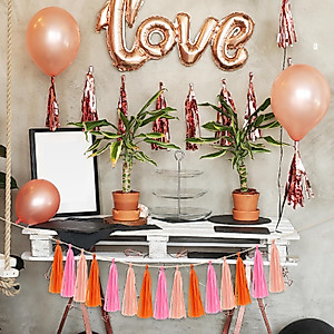 Pink Orange Peach Tissue Paper Tassels 15 Pcs Garland Banner Party Tassel Paper Tassels for Party Decorations Birthday Baby Bridal Shower