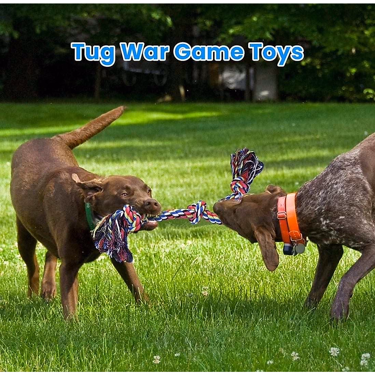 Flossy Chews Rope Tug Dog Rope Toys for Large and Medium Aggressive Chewers, Heavy Duty for Large Breed, Indestructible Dog Chew Toys, Tug of War, 100% Cotton Teeth Cleaning (Pink White, Large 17.8")