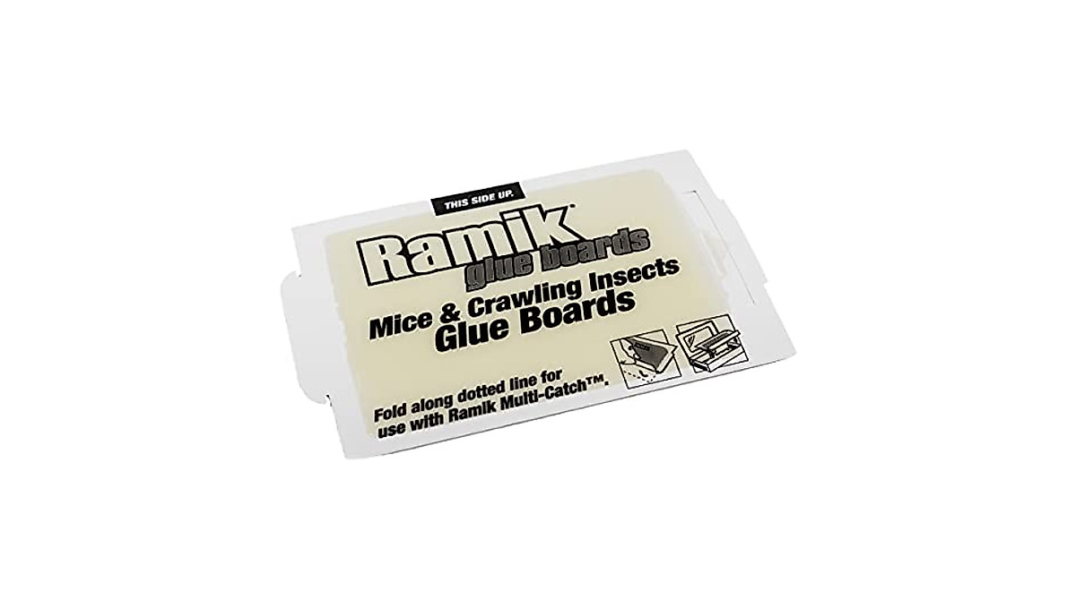 Ramik Glue Rodent Trap - Effective & Non-Toxic Solution