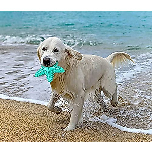 Carllg Dog Toys for Aggressive Chewers, Dog Teething Cleaning Toothbrush Toy, Durable Squeaky Interactive Starfish Puppy Toys for Small Medium Large Breed