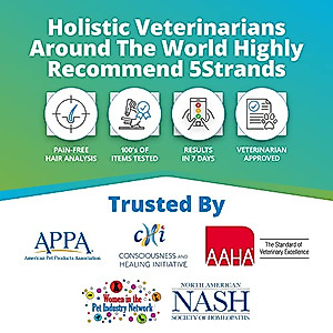 5Strands Pet Food and Environmental Intolerance Test, at Home Sensitivity Test for Dogs & Cats, Hair Sample Collection Kit, 380 Items Tested, Results in 7 Days, Works for All Ages and Breeds
