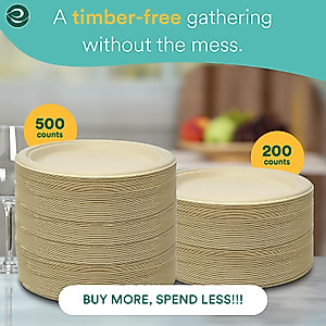 ECO SOUL 100% Compostable 6 Inch Small Paper Plates 500 [4x125 Pc] Disposable Bulk Party Heavy Duty, Eco-Friendly, Appetizer, Dessert, Wedding Plates I Biodegradable Unbleached Sugarcane Eco Plates