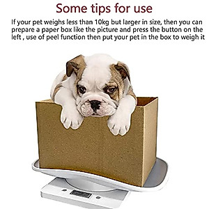BIGNADO Digital Puppy Scale Small Pet Scale for Puppies High Precision Wiggle-Proof Multi-Function Electronic Kitten Scales Weigh Rabbit or Puppy Mini Gram Weight for Newborn Pets, 11.6''*7.3''