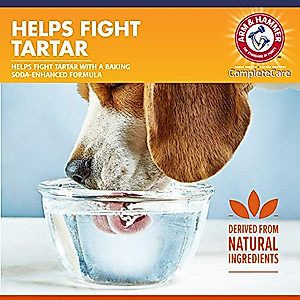 Arm & Hammer Complete Care Fresh Dental Water Additive for Dogs and Cats - Dog Water Additive, Dog Mouth Wash, Dog Dental Rinse, PetWater Additive, Cat Dental Care Bad Breath, Cat Supplies