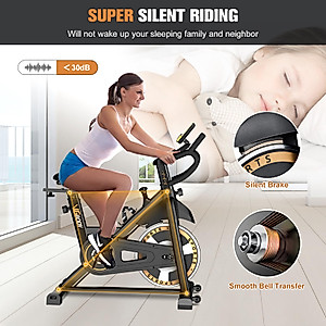 Indoor Cycling Bike Stationary, VIGBODY Exercise Bike Ipad Holder with LCD Monitor Comfortable Seat for Home Cardio Workout Indoor Fitness Training Bike