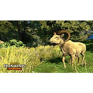Cabela's Hunting Expeditions - Xbox 360