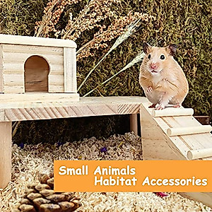 SINFUN Hamster Wooden Play Stand Platform Small Animals Stand Platform Natural Wood Table Pet House Hideouts Hut Waterproof Surface Pet Cage Accessories for Birds Gerbil Chinchilla Squirrel Guinea Pig