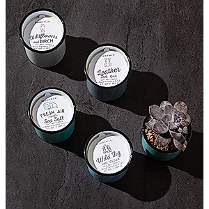 Paddywax Alpine Collection Scented Soy Wax Candle, 9.5-Ounce, Wild Fig and Cedar