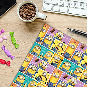 Danilo Despicable Me Wrapping Paper, Despicable Me Gift Wrap 2 Sheets Of Gift Wrap And 2 Gift Tags