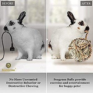 SunGrow Seagrass Balls for Rabbit, for Pet’s Gums & Teeth, Chewable Teething Activity Toy for Gerbils, Guinea Pig, Dwarf Bunny (3 Pieces/Pack)