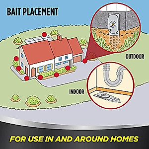 Amdro Kills Ants Ant Bait 0.16 oz.