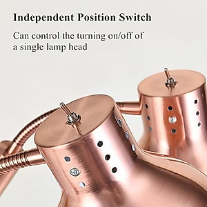 WTTTTW Heat Lamp for Food,500W Commercial Food Warmer Warming Light, Adjustable 2-Head Stainless Free-Standing Catering Food Heating Lamp for Kitchen Cafeteria Restaurant Buffet,Gold