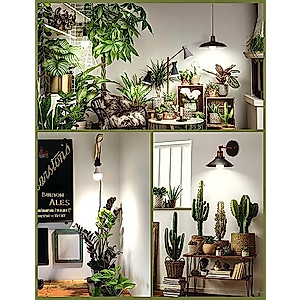 UNILAMPRO Grow Light Bulbs, A19 Grow Light Bulb, Full Spectrum Light Bulb, Plant Light Bulbs E26 Base, 9W Plant Grow Light Bulbs 100W Equivalent, Grow Light for Indoor Plants, Seeds, Flowers, 3 Pack