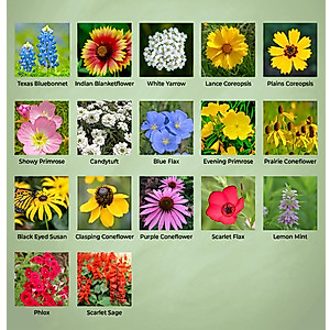 Created By Nature Texas Wildflower Seed Mix, Covers 325 Sq Ft, 17 Flower Varieties, Over 60,000 Seeds