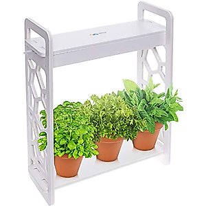 Mindful Design LED Indoor Herb Garden with Timer - at Home Mini Planter Kit for Herbs, Succulents, and Vegetables w/Hexagon Cutout (White)