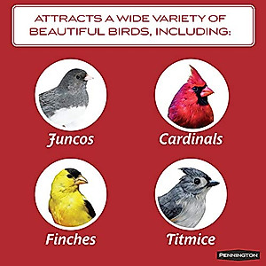 Pennington Select Black Oil Sunflower Seed Wild Bird Feed, 40 lbs