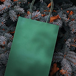 Nexmint Kraft Paper Bags Small Gift Bags with Handle for Birthdays, Holidays, Gifts, Party Favors, Retail, Festivities, Treats, Business, DIY Crafts (24-Pack, Green)