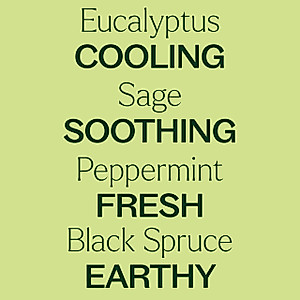 Plant Therapy Eucalyptus Sage Body Cream 8 oz Restore Softness & Ultra Hydration, Vitamins and Antioxidants to Soften, Smooth, and Firm Skin