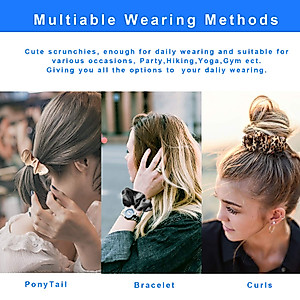 Velvet Hair Pocket Scrunchies Hair Ties wth Hidden Zipper for Girls Women Cute Elastic hair Accessories Great Scrunchy (4Mixed)