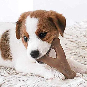 moofin Puppy, 1 Count - Wishbone Dog Chew Toy, Durable Teething Support with Real Bacon Flavor, Large - includes SS Pet Training Whistle, USA-Made, Dog Chew Toy [Pack of 3], Brown