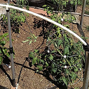 Blumat TROPF Medium Deluxe Irrigation Kit (12 Pack), Water Up to 12 Plants | Automatic Watering System | Garden, Patio, Hanging Baskets, Raised Bed, Greenhouse | Sustainable Outdoor System