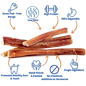 K9warehouse® - Bully Sticks for Small Dogs & Puppies - (6 inch, 6 Count) Thin Pizzle Sticks for Teething Relief - Puppy & Dog Chew Treats for Medium Dogs - 100% Natural & Safe Bully Stick