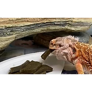 Gargeer 3oz Bearded Dragon Food. Complete Gel Diet for Both Juveniles and Adults. Proudly Made in The USA, Using Premium Ingredients, Fortified Gourmet Formula. Enjoy!