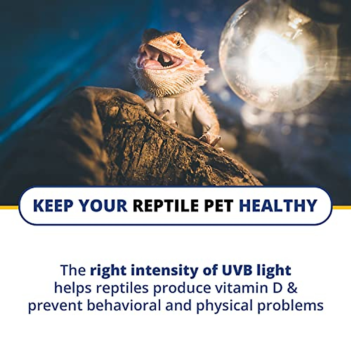 Solarmeter Model 6.5R Reptile UV Index Meter, Handheld Digital Radiometer for Measuring Ultraviolet Light, Measures 280-400 nm with Range from 0-199.9 UV Index, Made in USA, ABS Polymer, Black