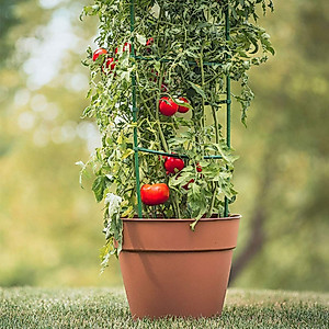 Stake Arms for Tomato Cage, 36 Pcs 11.8 Inches Garden Stake Connectors, Plastic Expandable Trellis for 11mm Diameter Plant Stakes, 2 Adjustable Buckle for Growing Climbing Plants