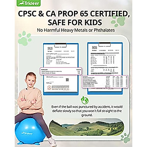 Trideer Flexible Seating for Classroom Elementary, Yoga Ball Chairs for Kids, Wobble Chair of School Supplies for Sensory Kids, Student Desk Chairs for Homeschool (Blue, 55cm)