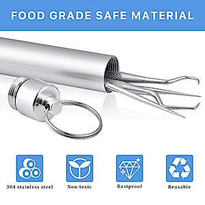 Worldity 5Pcs Reusable Toothpick, Portable Metal Toothpick, Professional Teeth Cleaning Tools, Dental Picks with Toothpick Holder and Key Ring for Travel Picnic Camping