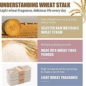 Rarapop Beige Stackable Bento Lunch Box Kit, 3-In-1 Compartment Wheat Straw Lunch Containers with Tableware, Reusable On-the-Go Meal and Snack Containers