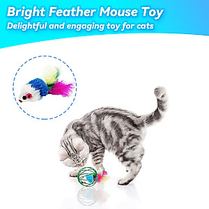 QUVOVID Cat Toys 6 Packs Cat Ball Toys, Metal Cage Balls with Mice & Bells, Cat Toys for Indoor Cats and Kitten, Interactive Cat Toys Cat Bell Balls, Mouse Toys, Kitten Toys Promote Physical Exercise