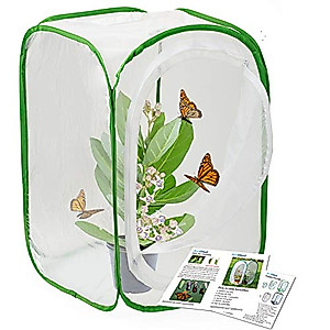 RESTCLOUD Insect and Butterfly Habitat Cage Terrarium Pop-up 24 Inches Tall with Zipper Protection
